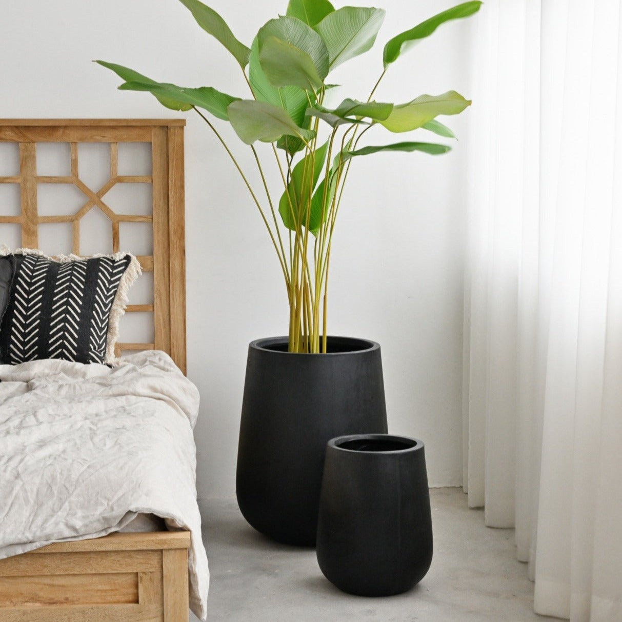 Tulip Black Concrete Planter - Indoor & Outdoor Pots | Island Living