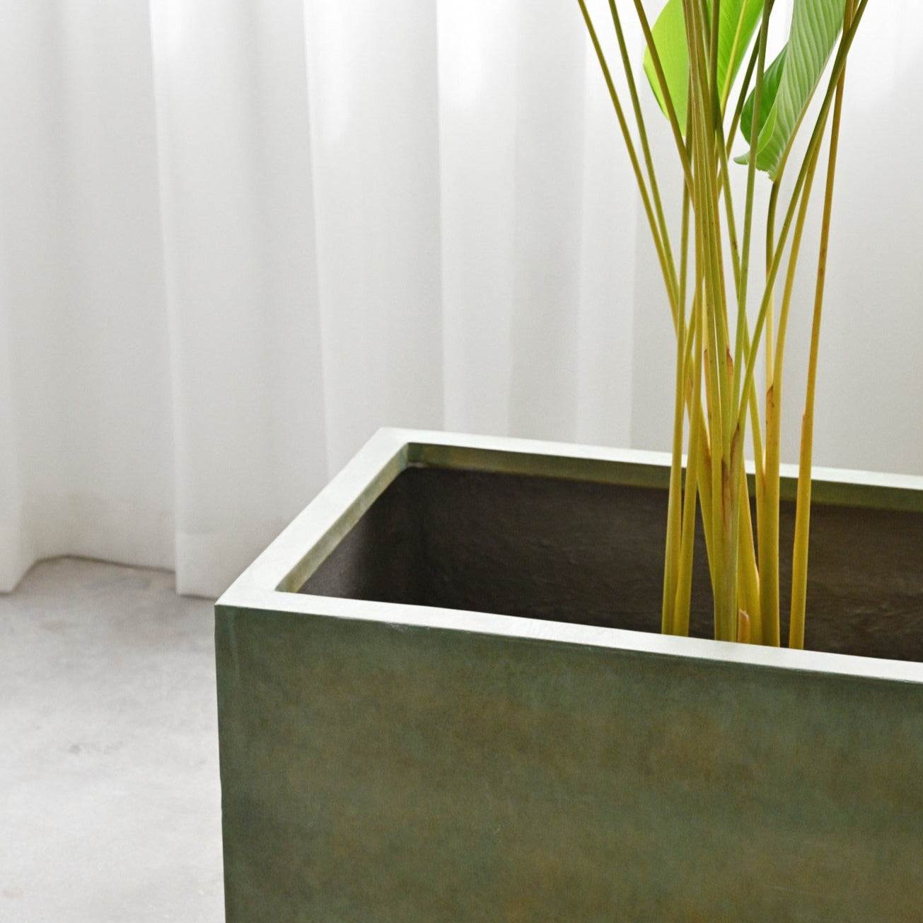 Green Rectangle Concrete Planter | Tropical Outdoor Decor – Island Living