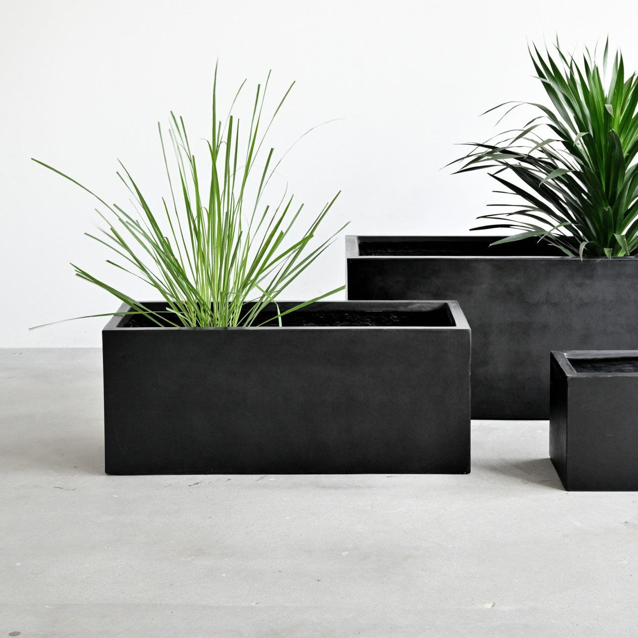 Black Rectangle Planter Box – Island Living